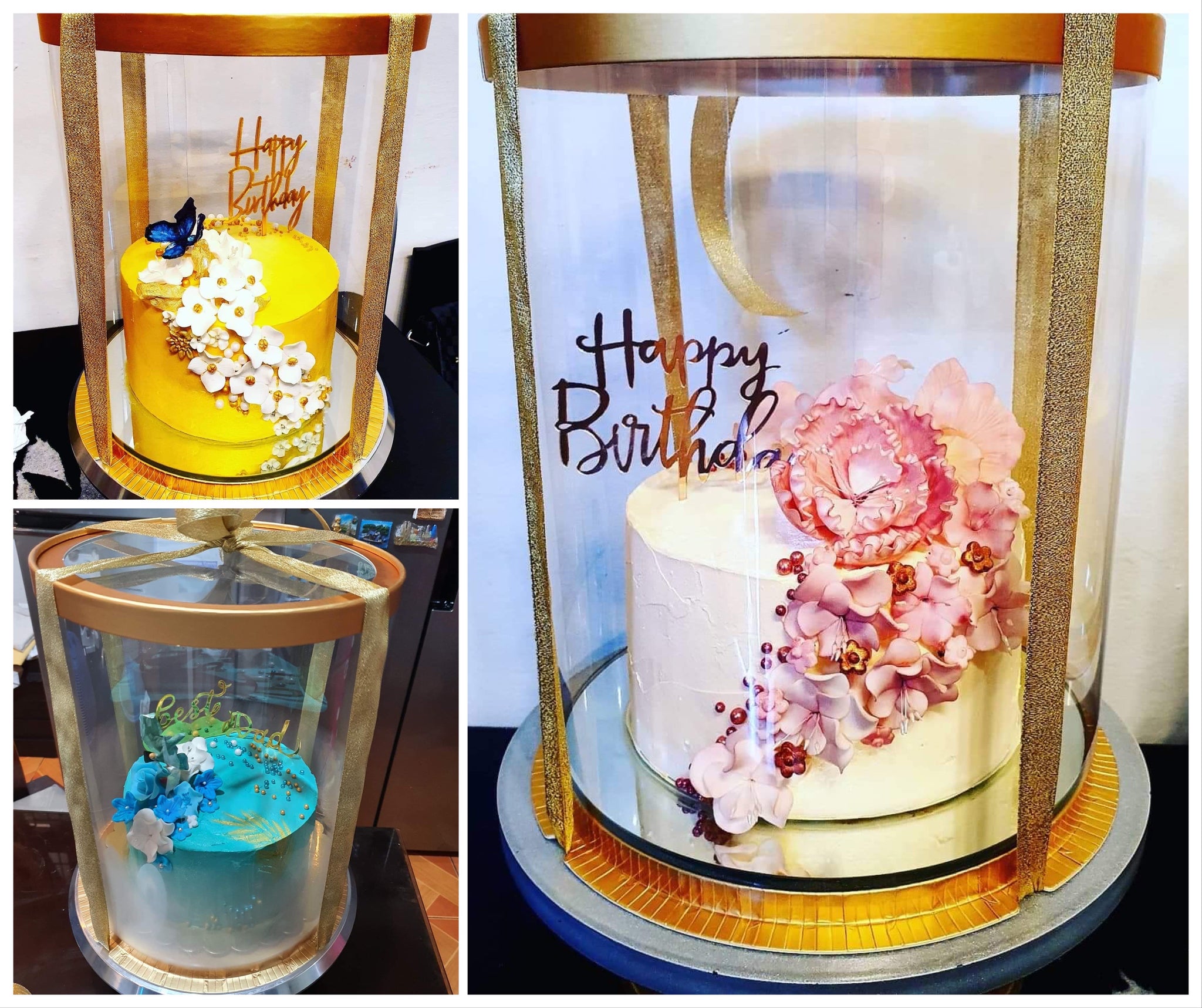[ROUND] Acetate Cake Box 10 inch Base (Medium) – Package Concepts Manila
